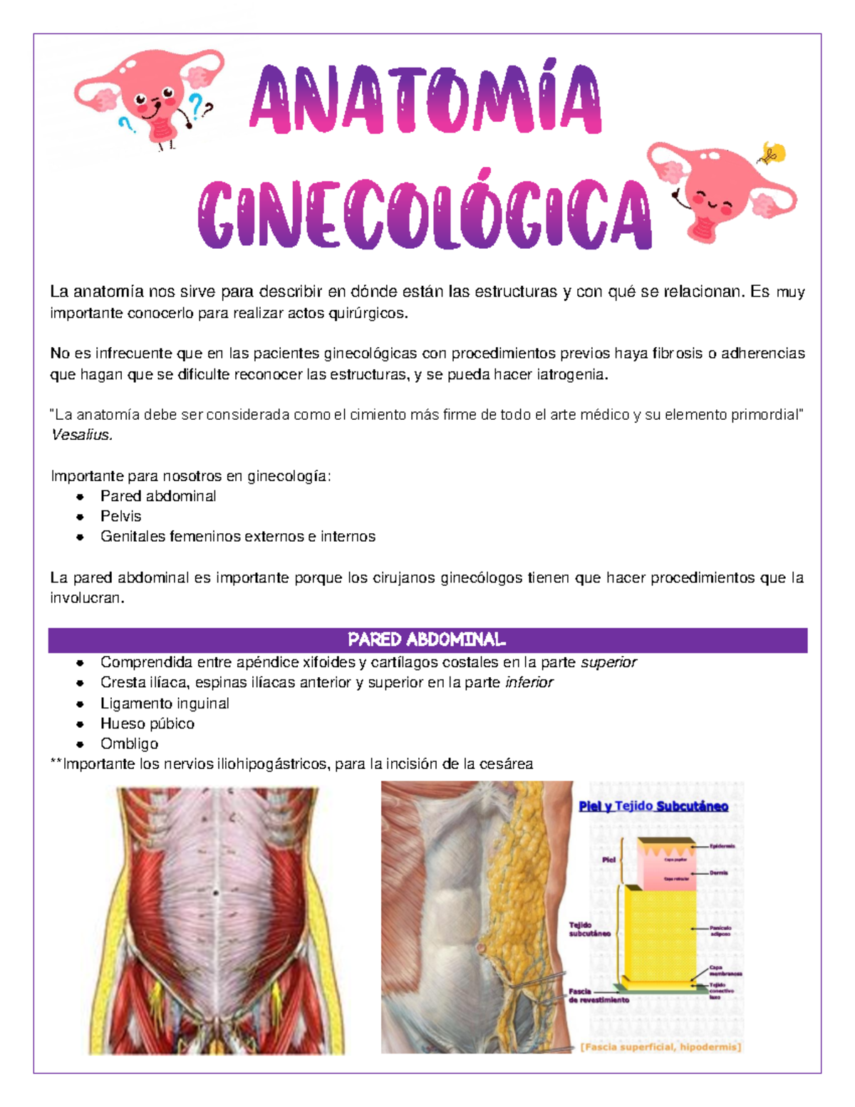 1. Anatomia ginecologica - La anatomía nos sirve para describir en ...