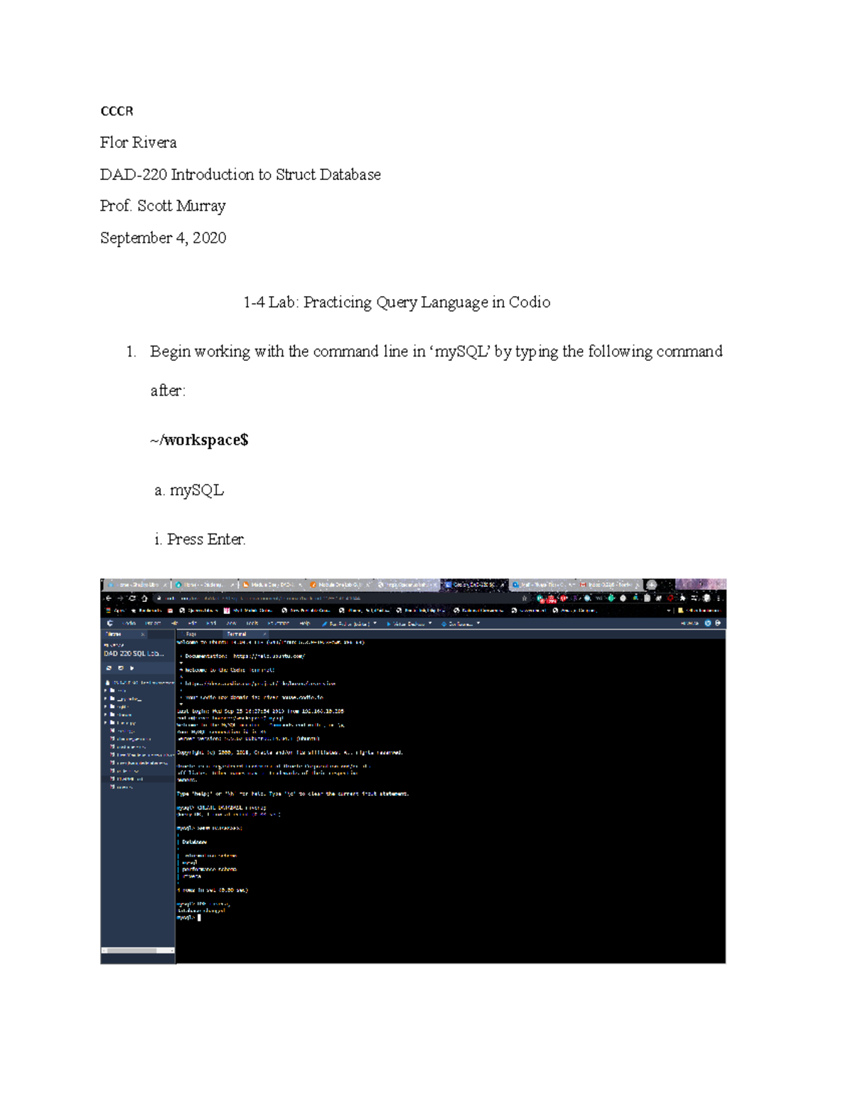 1-4 practice query - CCCR Flor Rivera DAD-220 Introduction to Struct Database Prof. Scott Murray ...