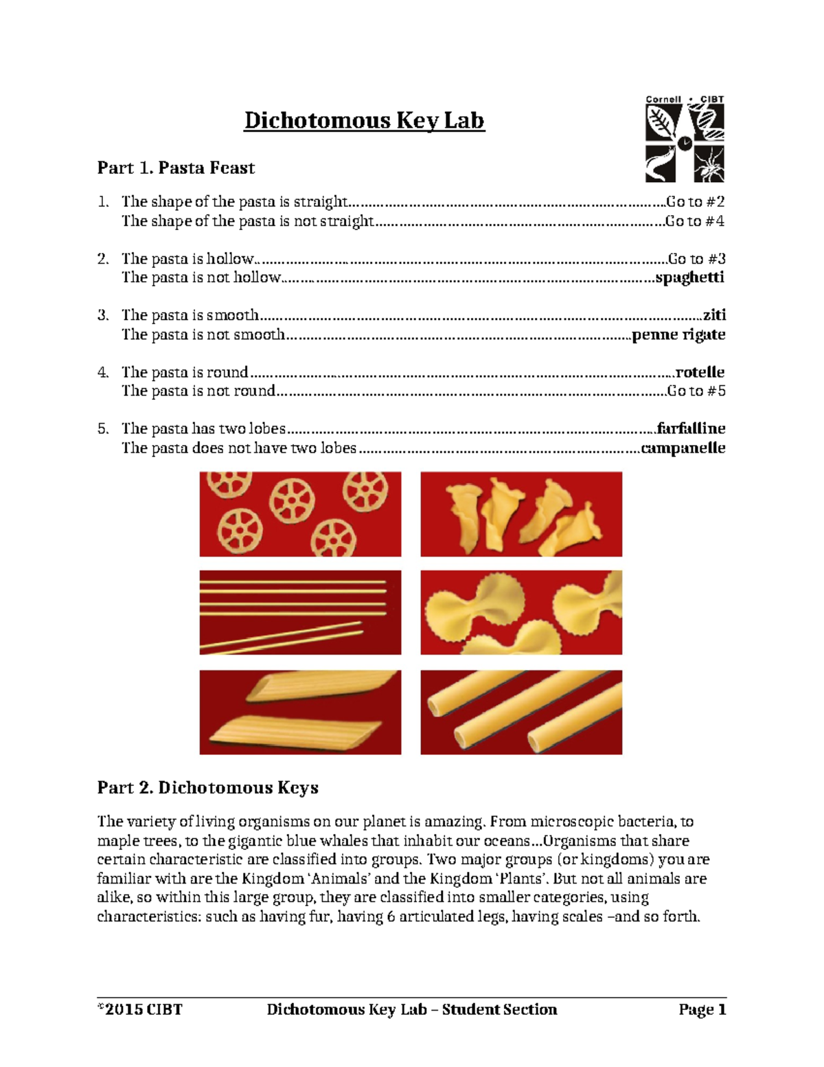 Worksheet 2024 - Dichotomous Key Lab Part 1. Pasta Feast The shape of ...