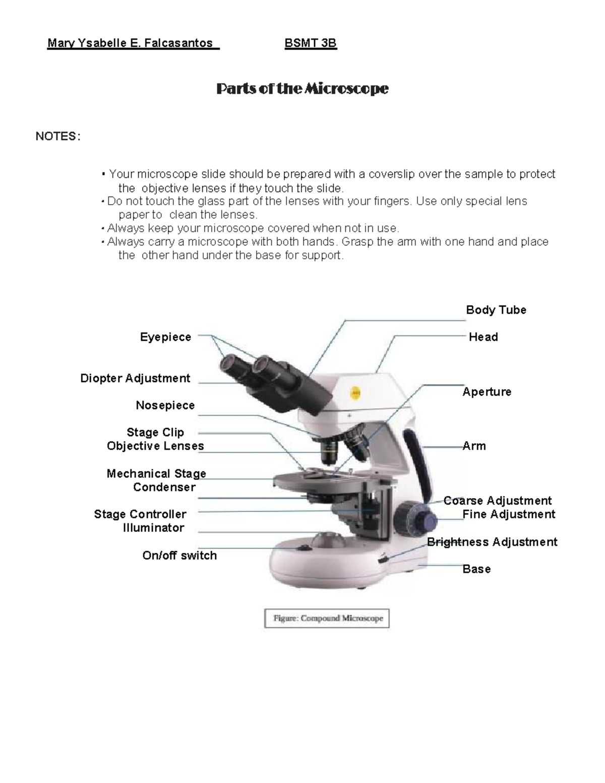 Parts of the Microscope - Mary Ysabelle E. Falcasantos BSMT 3B Parts of ...