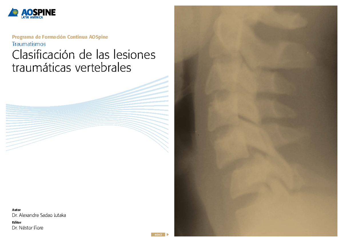 Aespine columna - 2020 - Programa de Formación Continua AOSpine ...