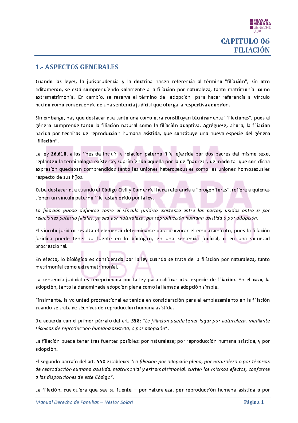 Resumen Solari. 2 - CAPITULO 06 FILIACIÓN 1.- ASPECTOS GENERALES Cuando las leyes, la ...