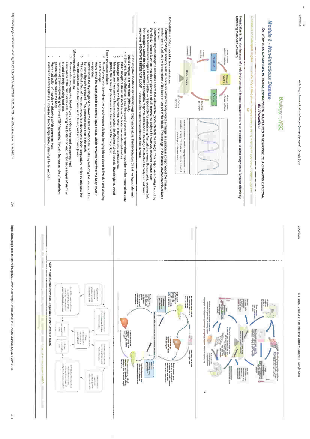 Biology Module 8 - Biotechnology Fundamentals: This section covers the ...