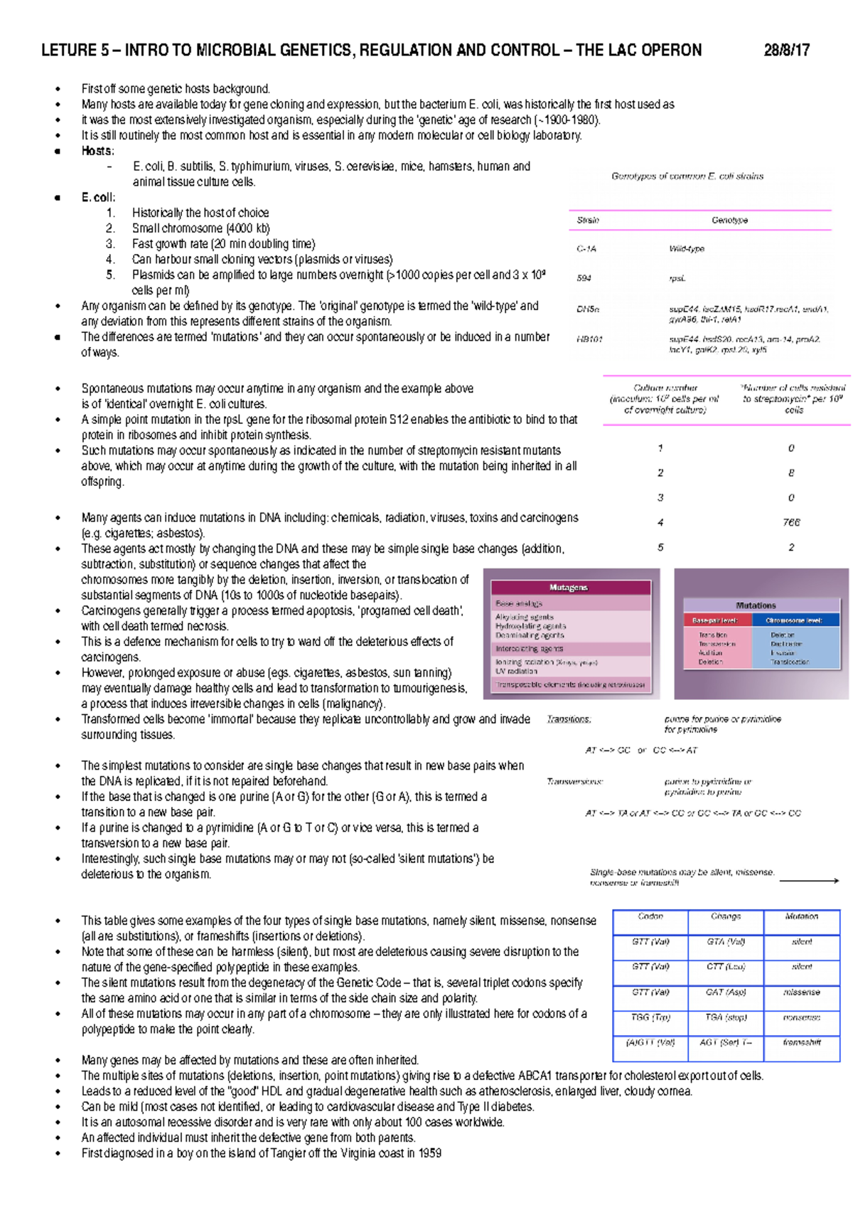 Lecture 5 – Intro To Microbial Genetics - LETURE 5 – INTRO TO MICROBIAL ...