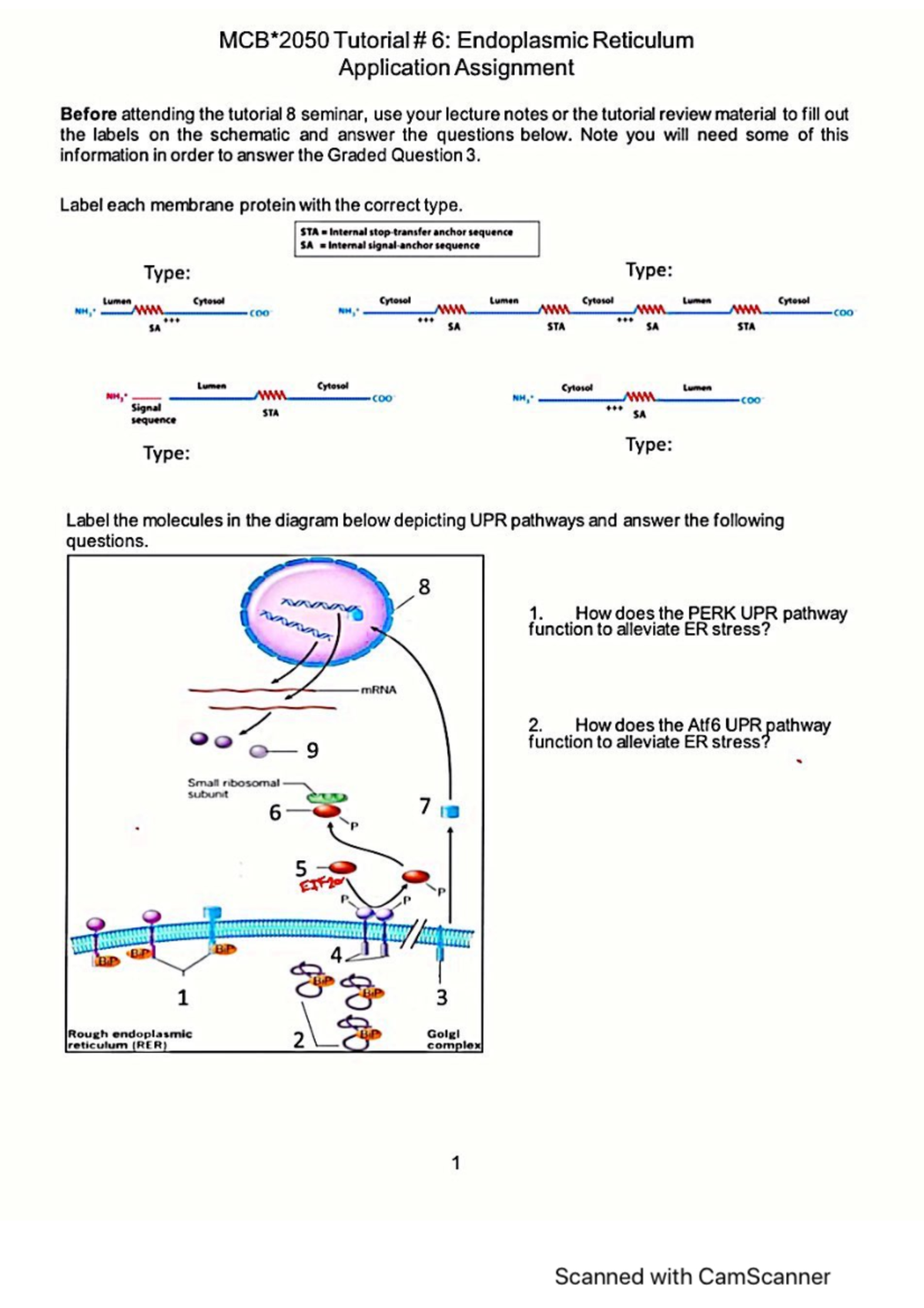 Cam Scanner 02-09-2023 11 - MCB 2050 - Studocu