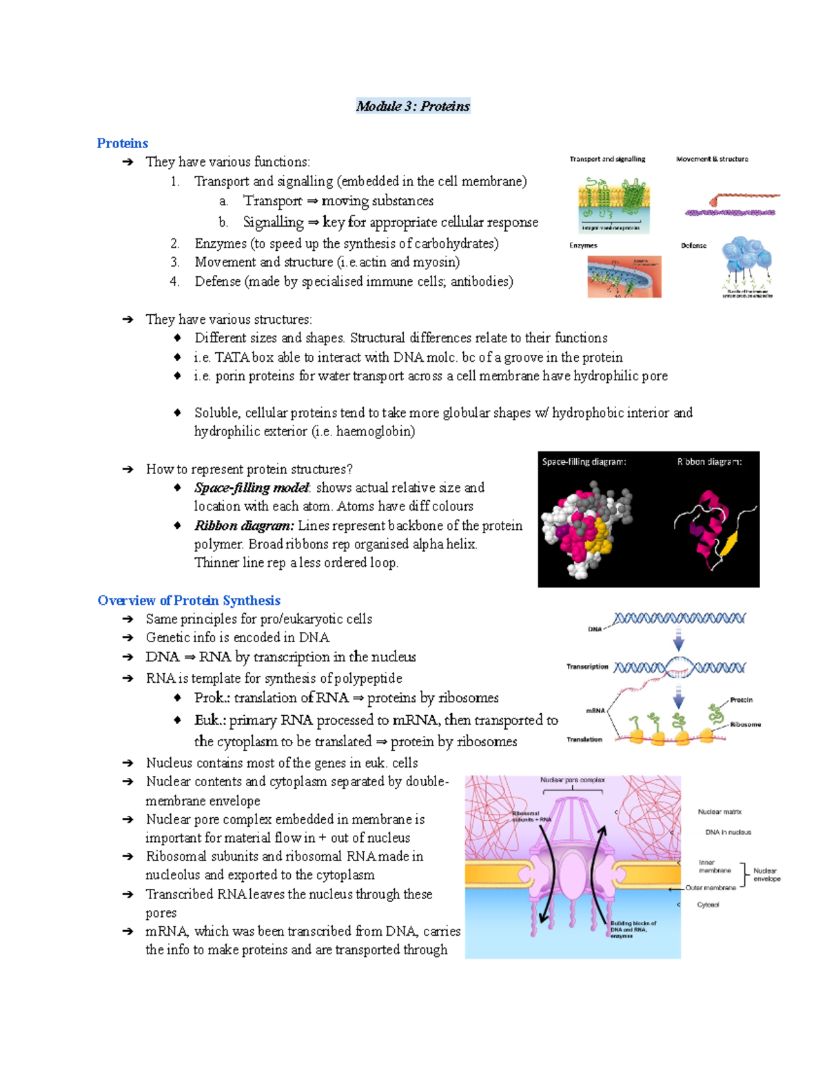 02 - Theme 1, Module 3 - Notes - Module 3: Proteins Proteins They have ...
