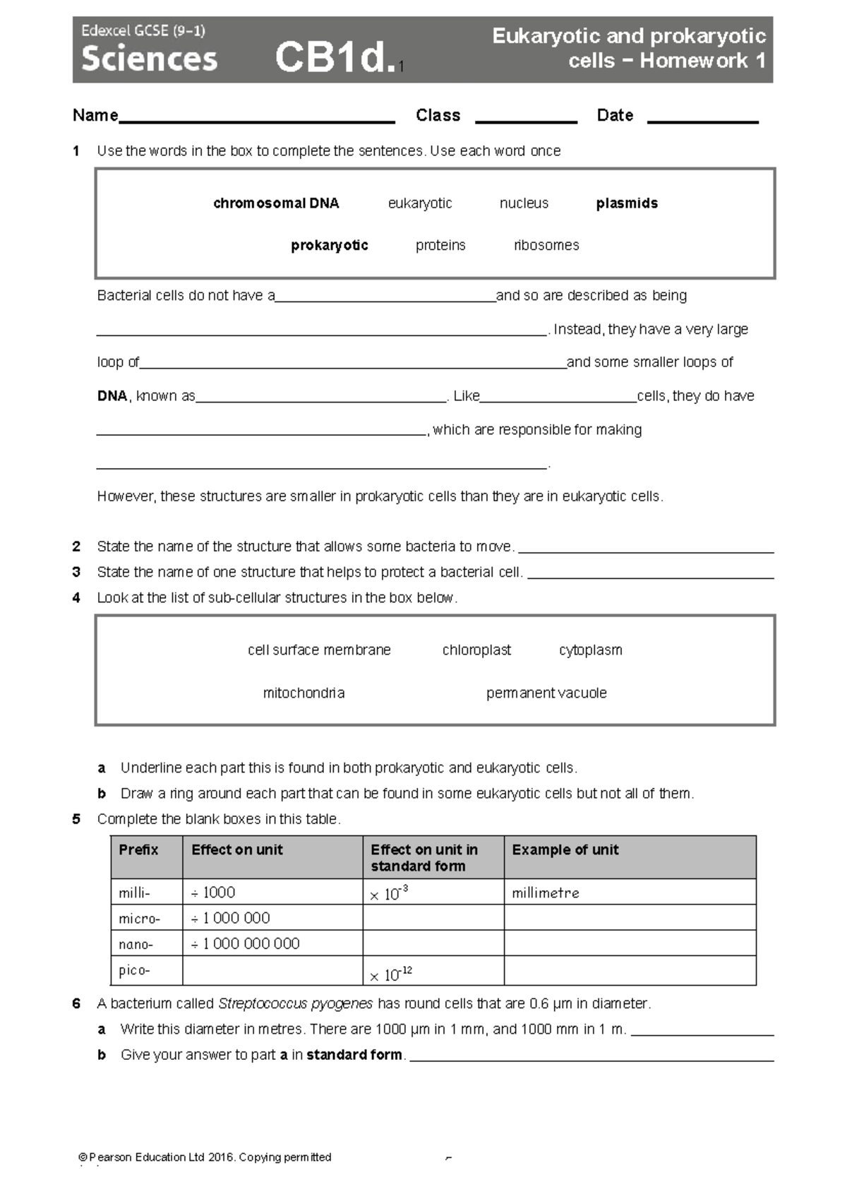 9set3 bacteria homework - Eukaryotic and prokaryotic CB1d. 1 cells − ...