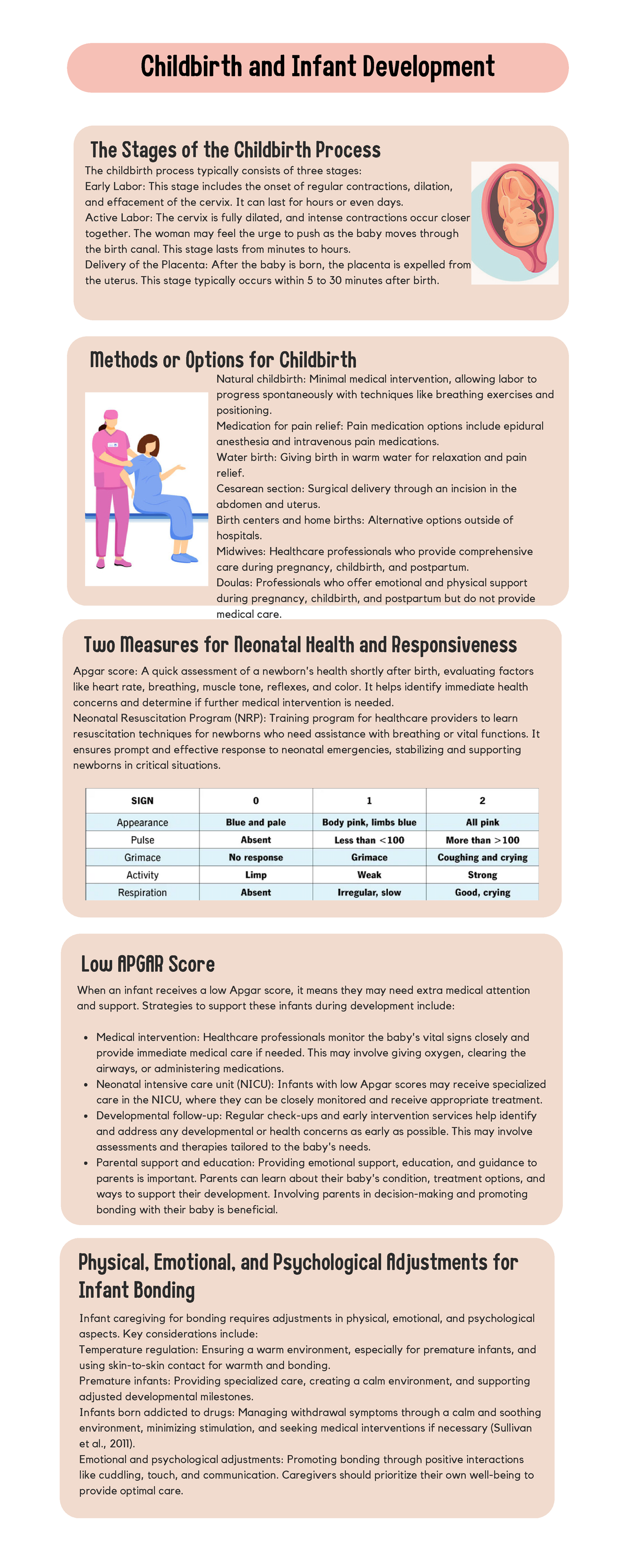 Childbirth and Infant Development Project and Presentation - Childbirth ...