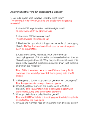 Phases of the Cell Cycle - There are 4 stages in the cell cycle When ...