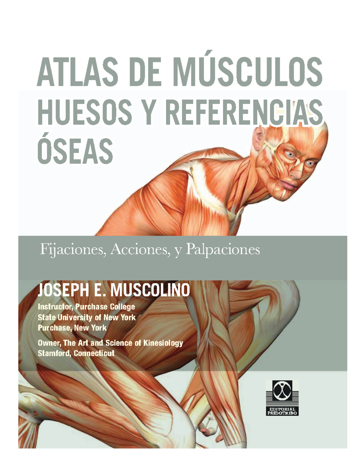 Atlas DE Músculos, Huesos Y Referencias Óseas -Joseph Muscolino - ATLAS ...
