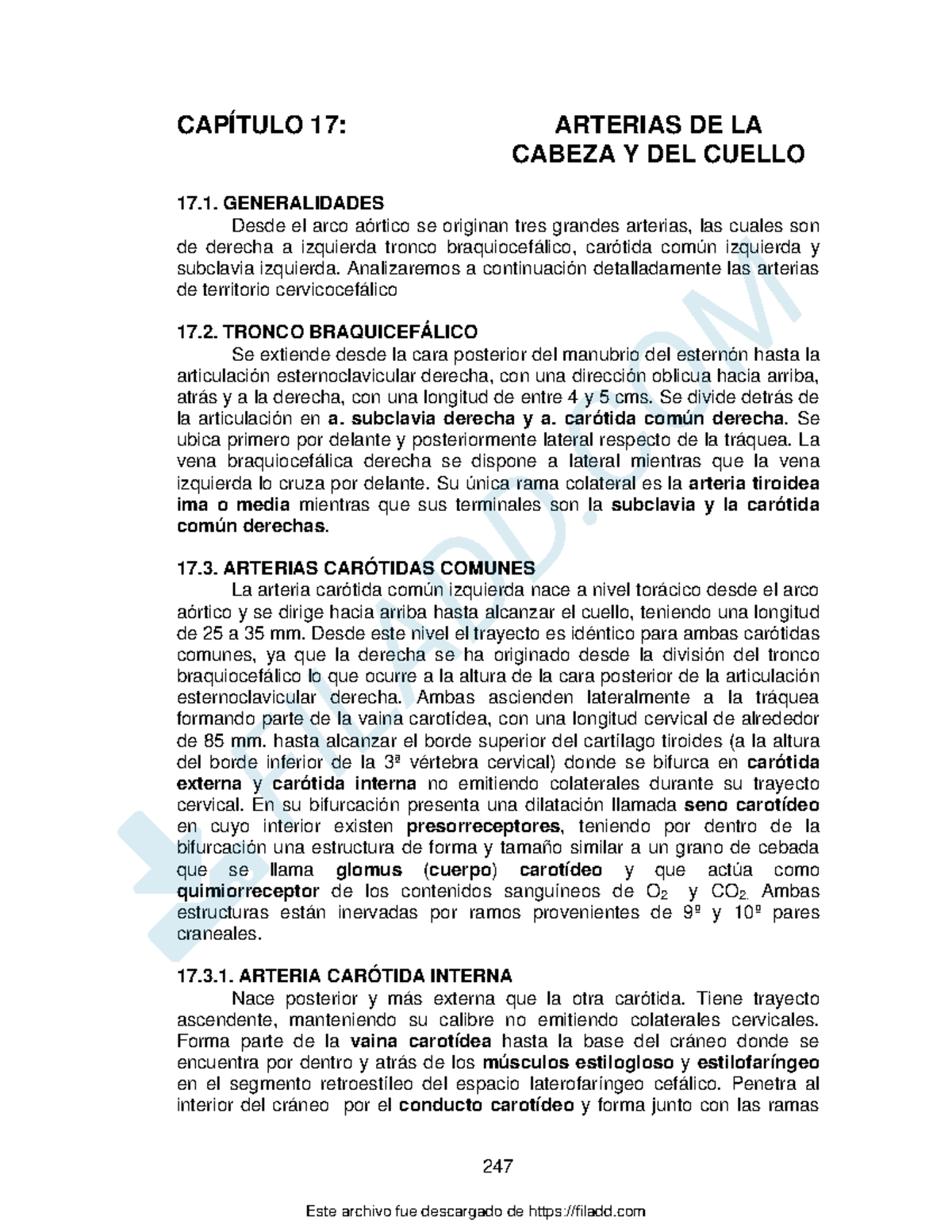 CAPA TULO 17 Arterias DE Cabeza Y Cuello - 247 CAPÍTULO 17: ARTERIAS DE LA CABEZA Y DEL CUELLO ...