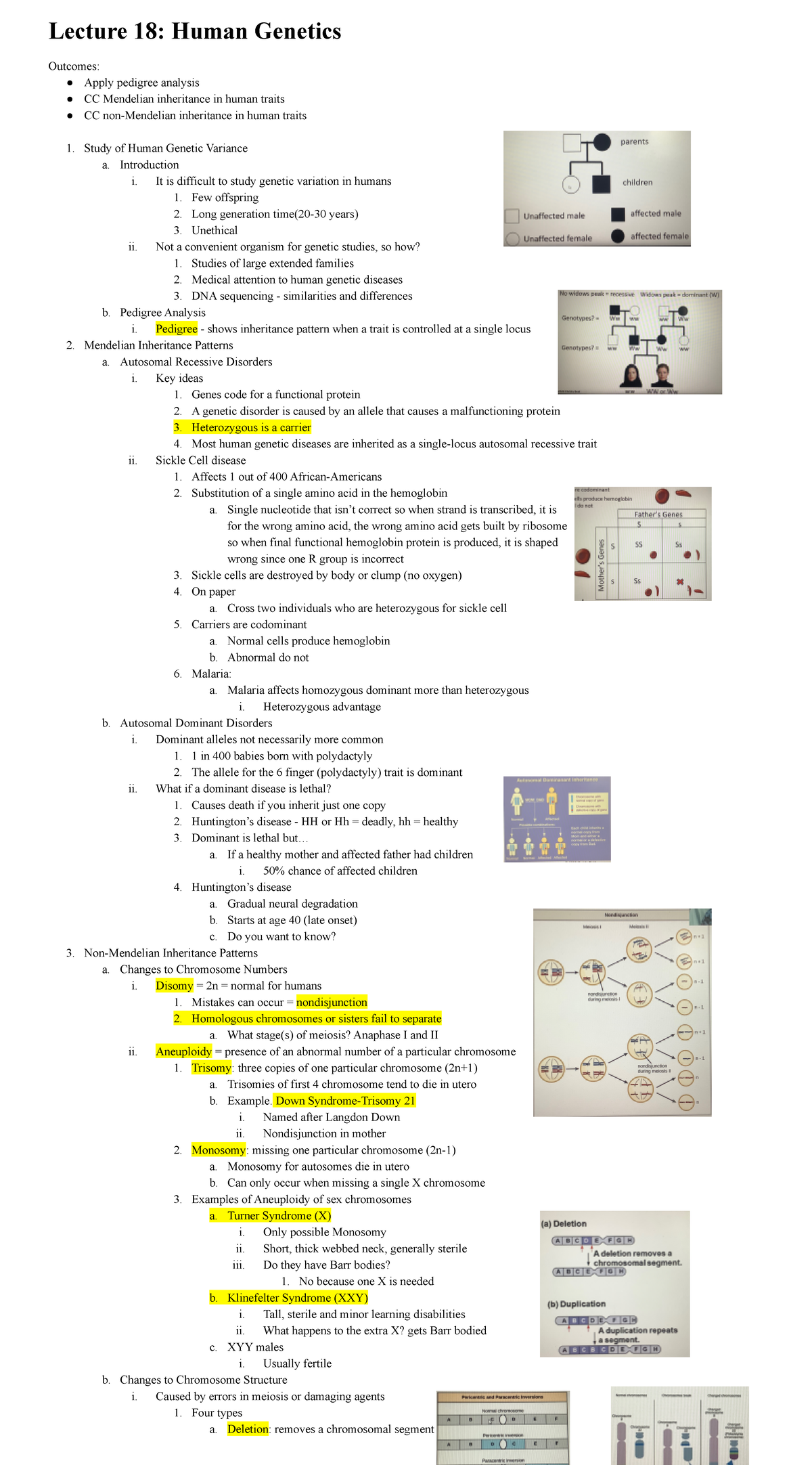 Lecture 18-Human Genetics - Lecture 18: Human Genetics Outcomes: Apply ...