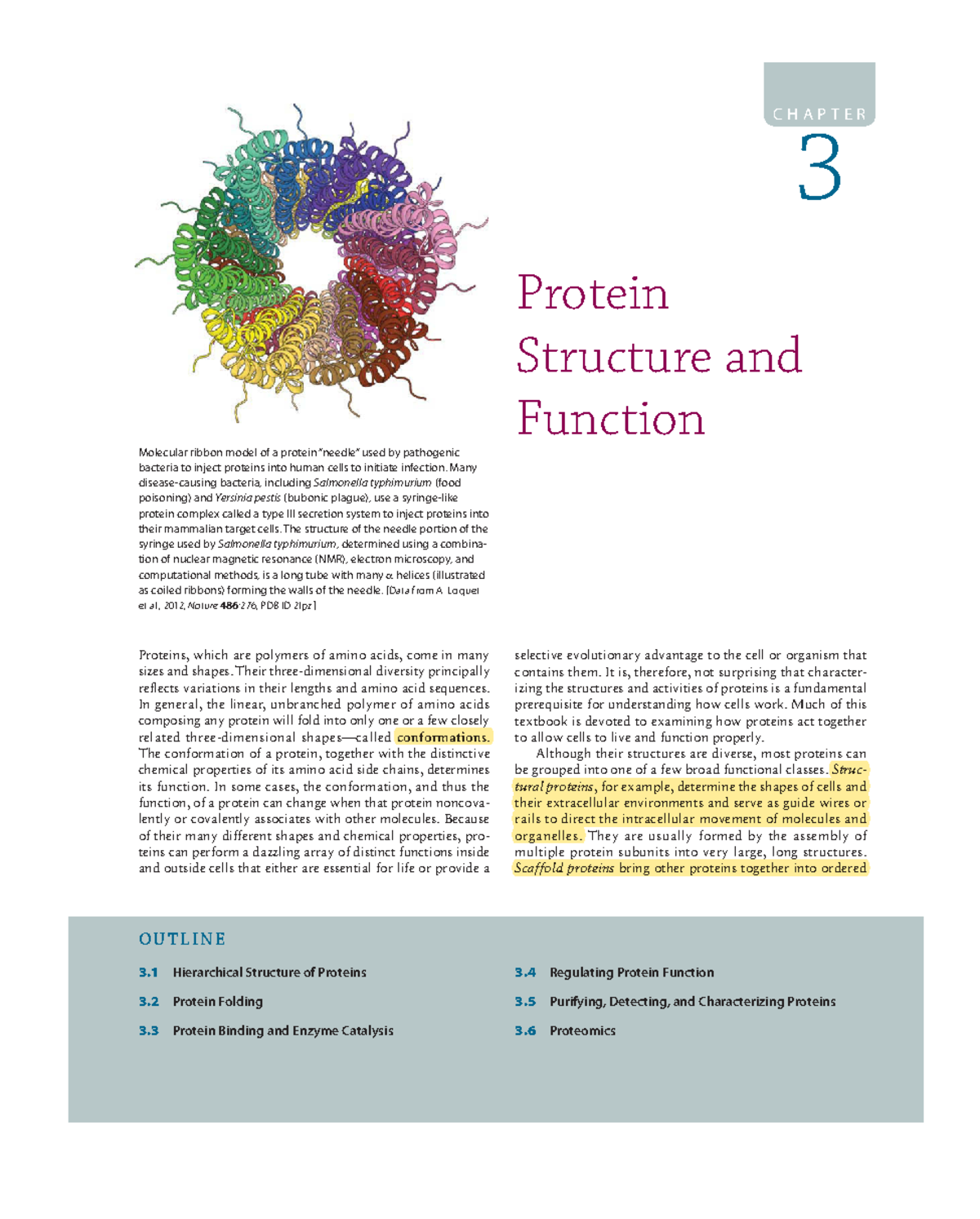Lodish Protein Structure Function - C H A P T E R Molecular ribbon model of a protein “needle ...