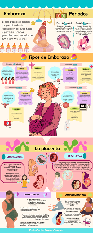 Guia de Ginecología - Ginecología y Obstetricia 4422076850 Dr. Don ...