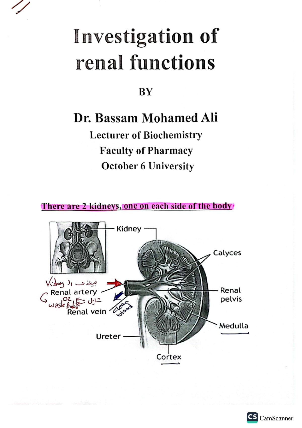 Kidney notes - Clinical Biochemistry - Studocu