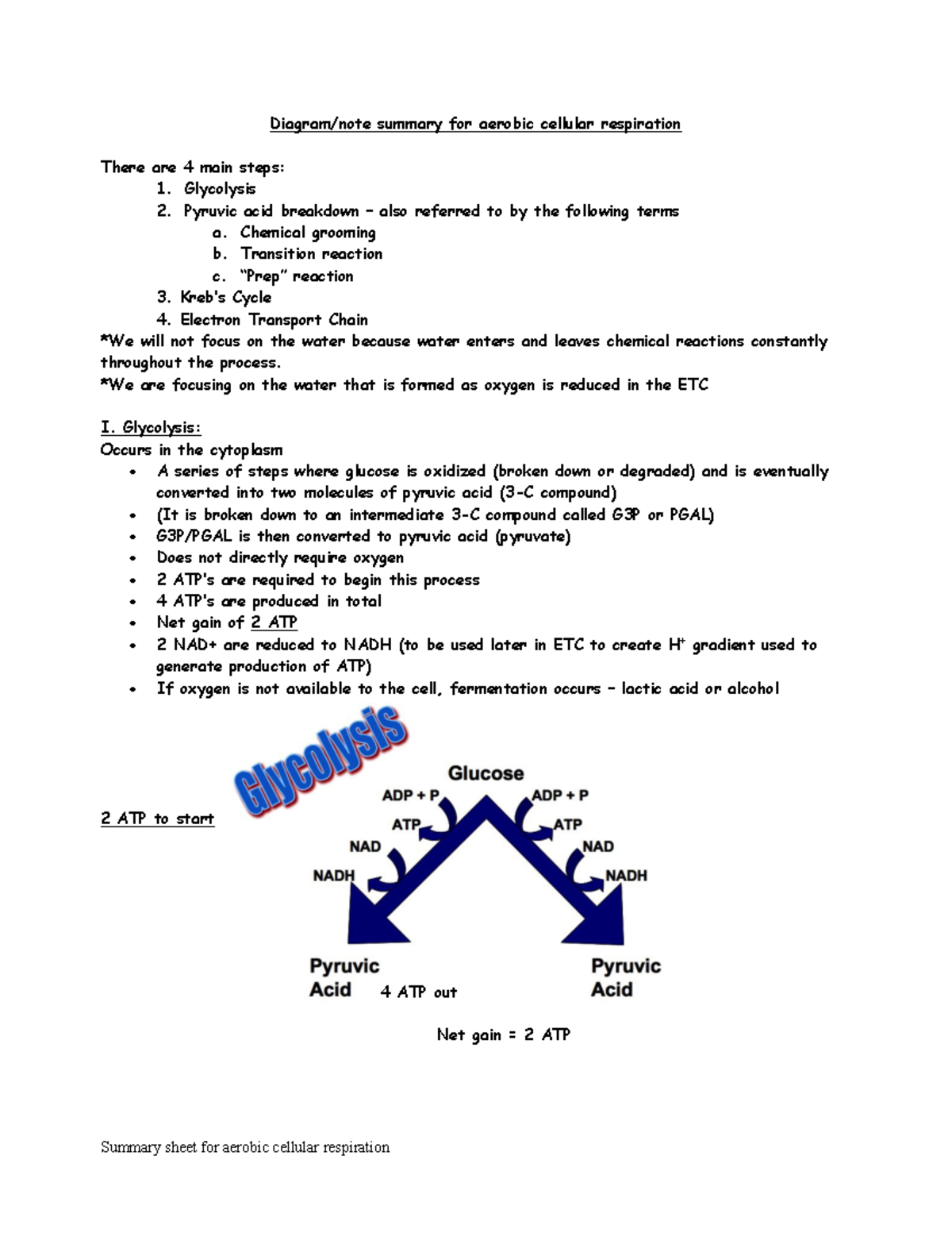 CPA CELL Respiration Overview Summary Notes - Diagram/note summary for ...