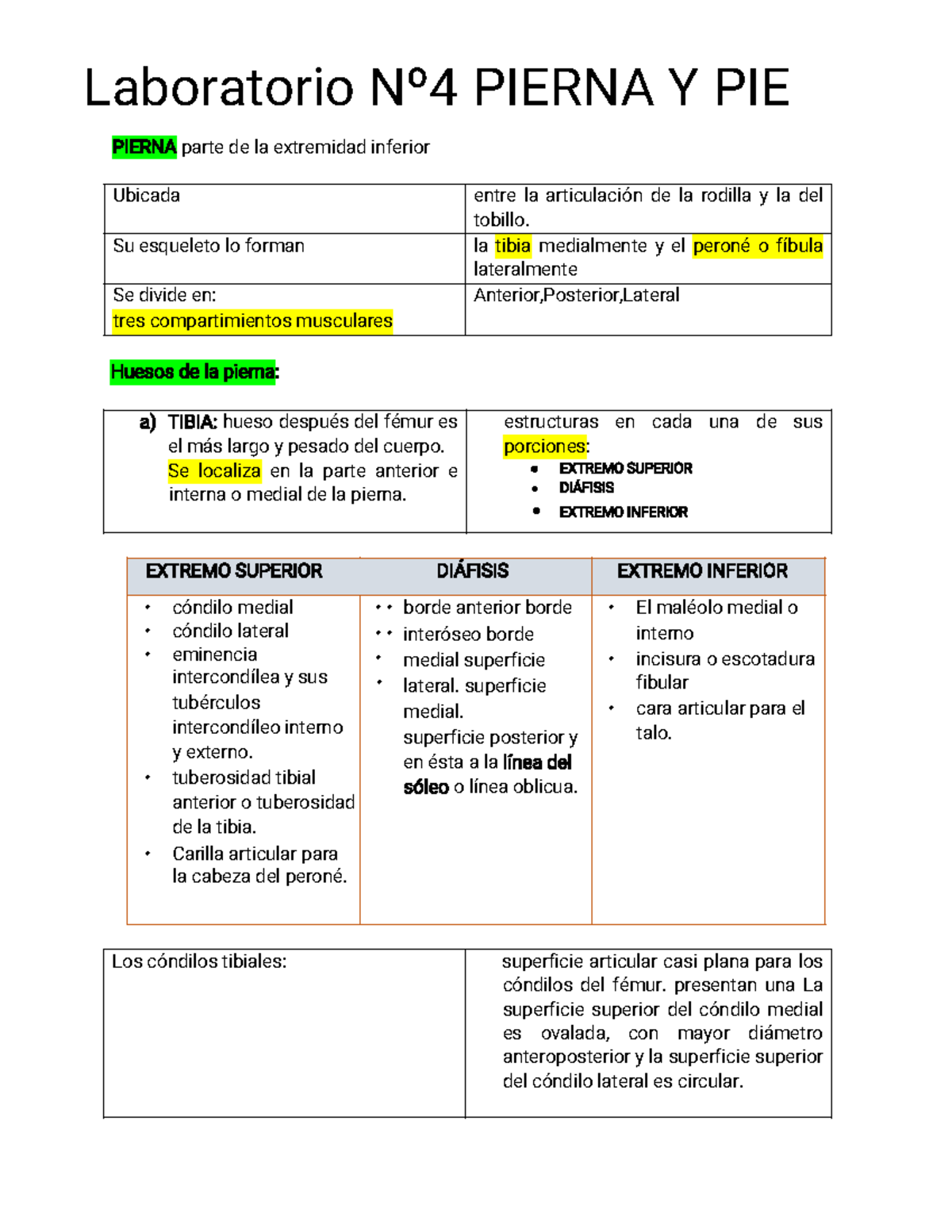 Laboratorio 4 Pierna Y PIE 2022-2 - Anatomía - UES - Studocu