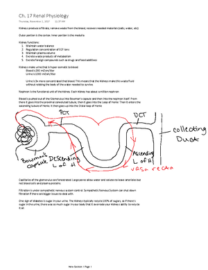Physio Study Guide Exam 2 - Physiology 1 Study Guide (Lectures 8-13 ...