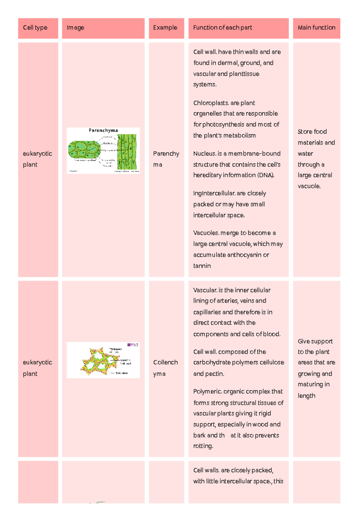 Copia de Cell type - ... - Cell type Image Example Function of each ...