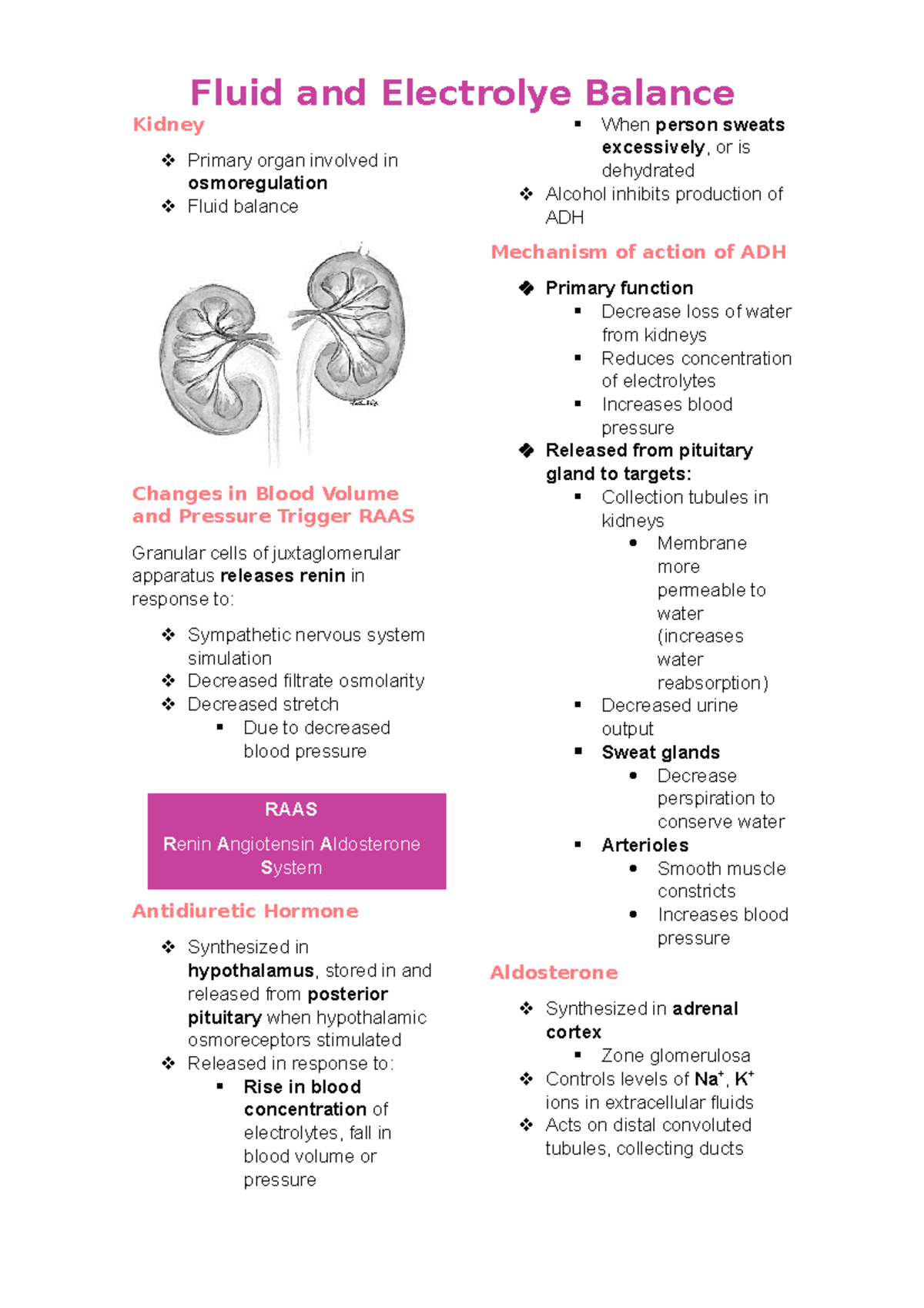 Fluid and Electrolyte Balance - Fluid and Electrolye Balance Kidney ...
