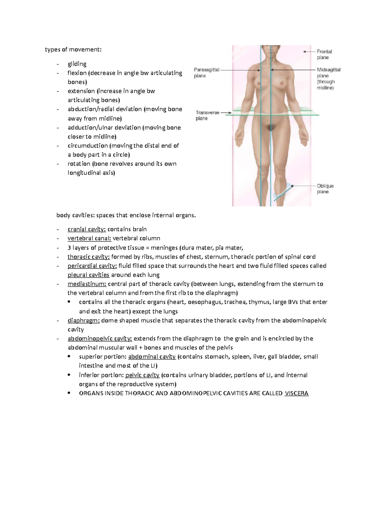 Chicken leg lab notes - types of movement: gliding flexion (decrease in ...