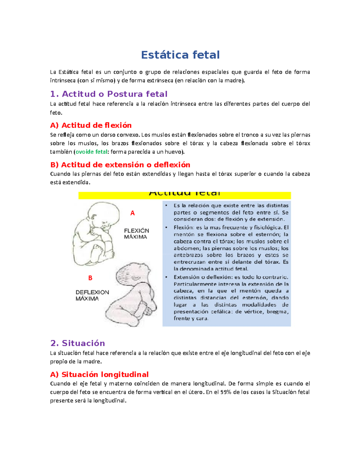 Estática Fetal. - Estática fetal La Estática fetal es un conjunto o ...