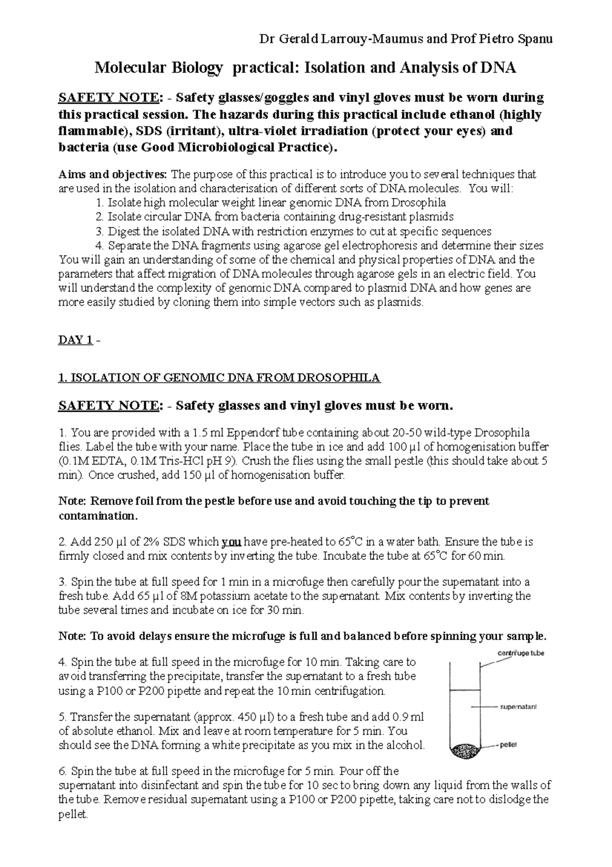 Molecular Biology practical Isolation and Analysis of DNA - Dr Gerald ...