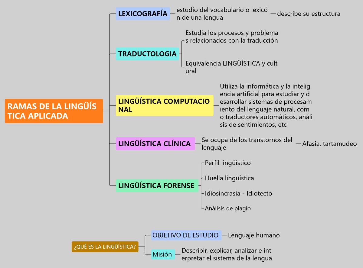P3 Ramas DE LA Lingüística - LEXICOGRAFÍA estudio del vocabulario o ...