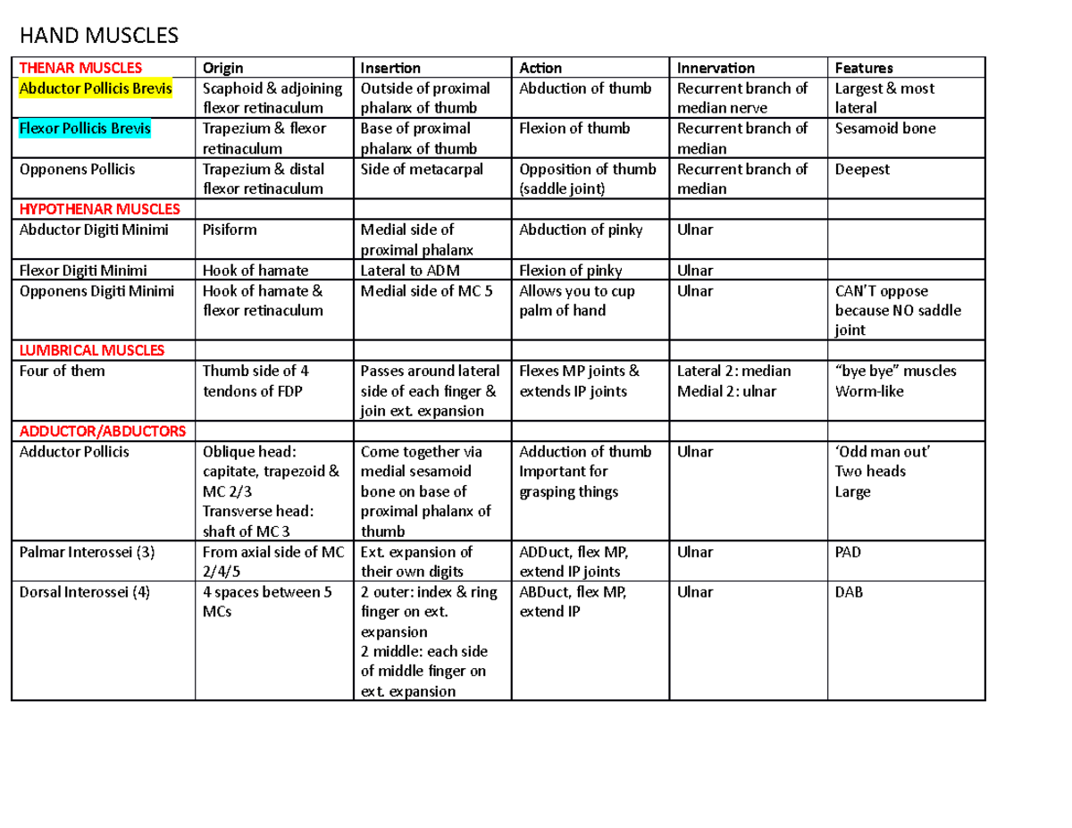 Anatomy Muscle Charts for Upper Limb - HAND MUSCLES THENAR MUSCLES ...