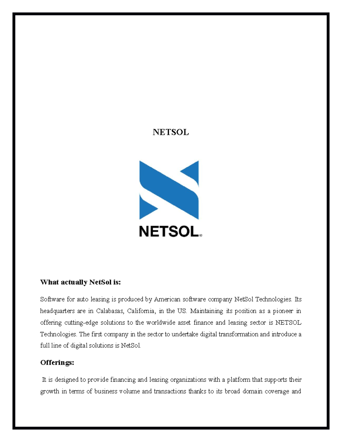 Net Sol - assignment of the marketing subject - NETSOL What actually ...