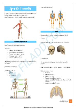 Mesodermo axial y paraxial A - CAPÍTULO 4 Evolución Embrionaria del ...