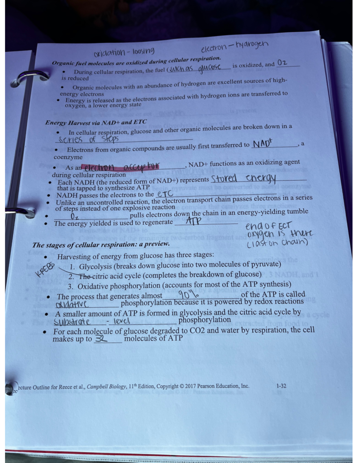 30 - biology lecture notes - BIO1134 - Studocu