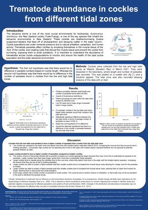 Cockle Feeding and Life Cycle - ZOE ECKHOFF RELEVANT BIOLOGY / ECOLOGY ...