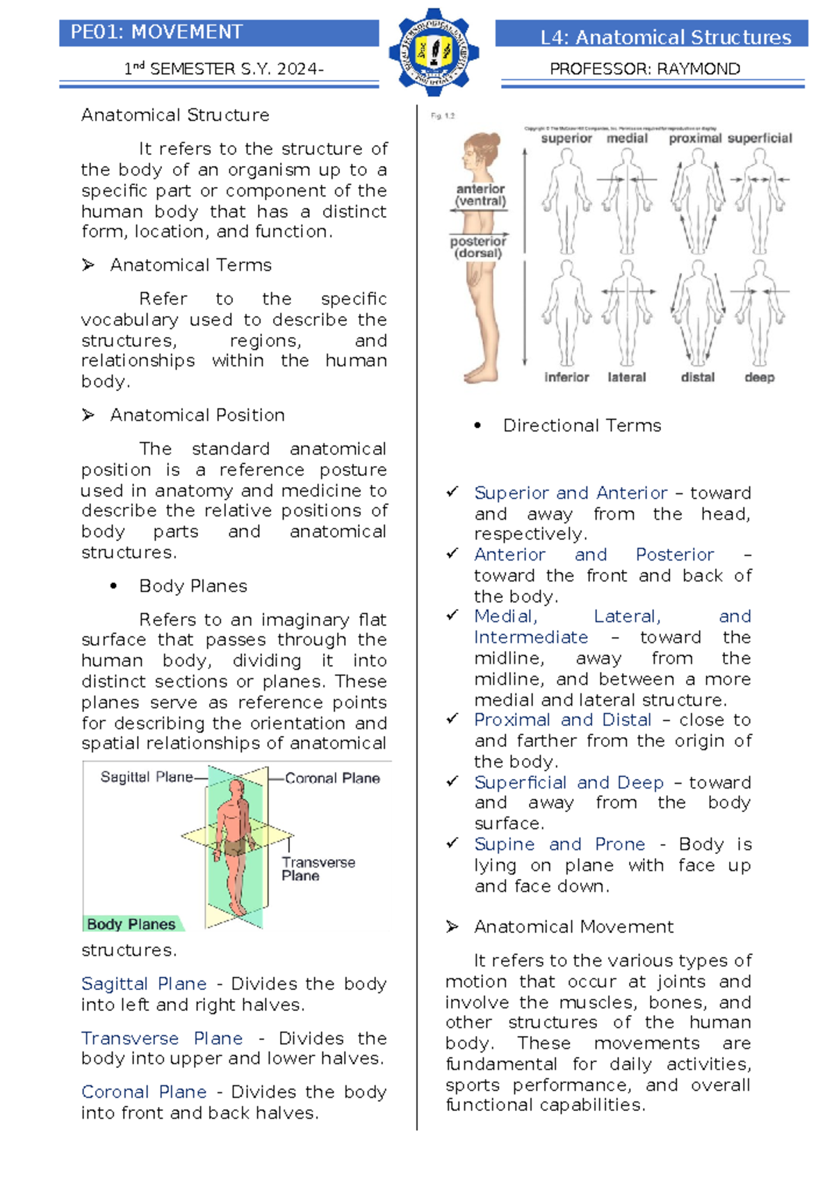 Structure of a Human Body - PE01: MOVEMENT ENHANCEMENT 1 nd SEMESTER S ...