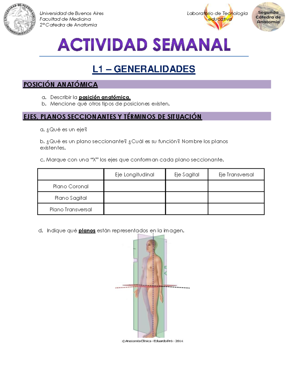 Actividad Semanal L1- 2021 - Facultad de Medicina educativa 2° Catedra ...