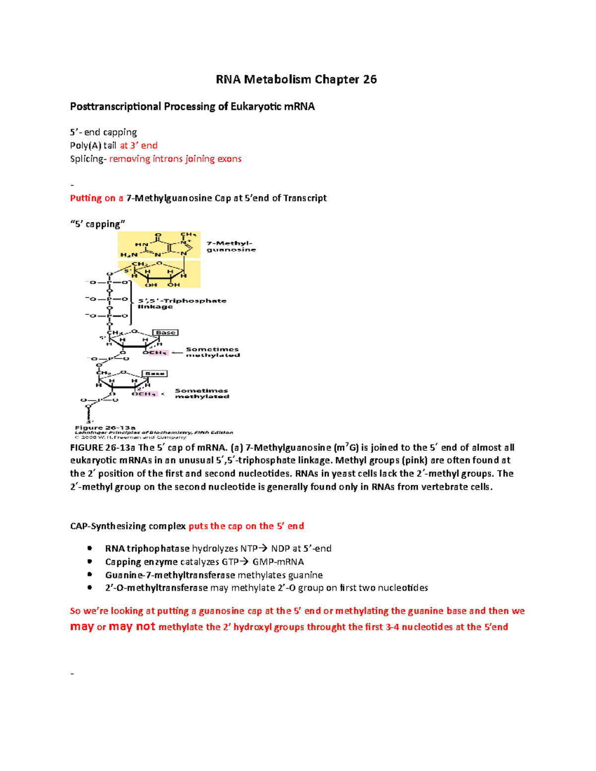 RNA Metabolism Chapter 26 EXAM2 - RNA Metabolism Chapter 26 ...