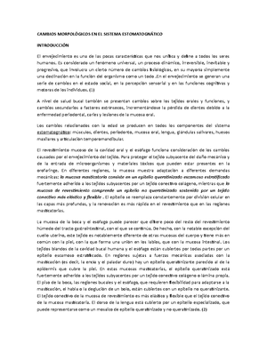 Progressive identifier - How to Use This Catalog Each lens in this ...