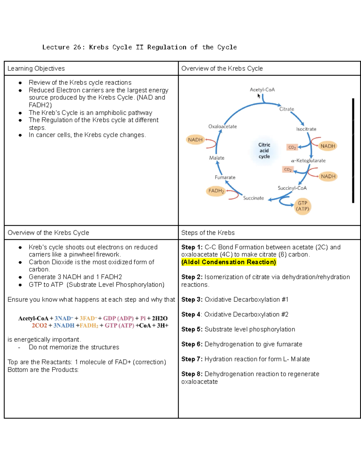 Lecture 26 Krebs Cycle II - (NAD and FADH2) The Kreb’s Cycle is an ...