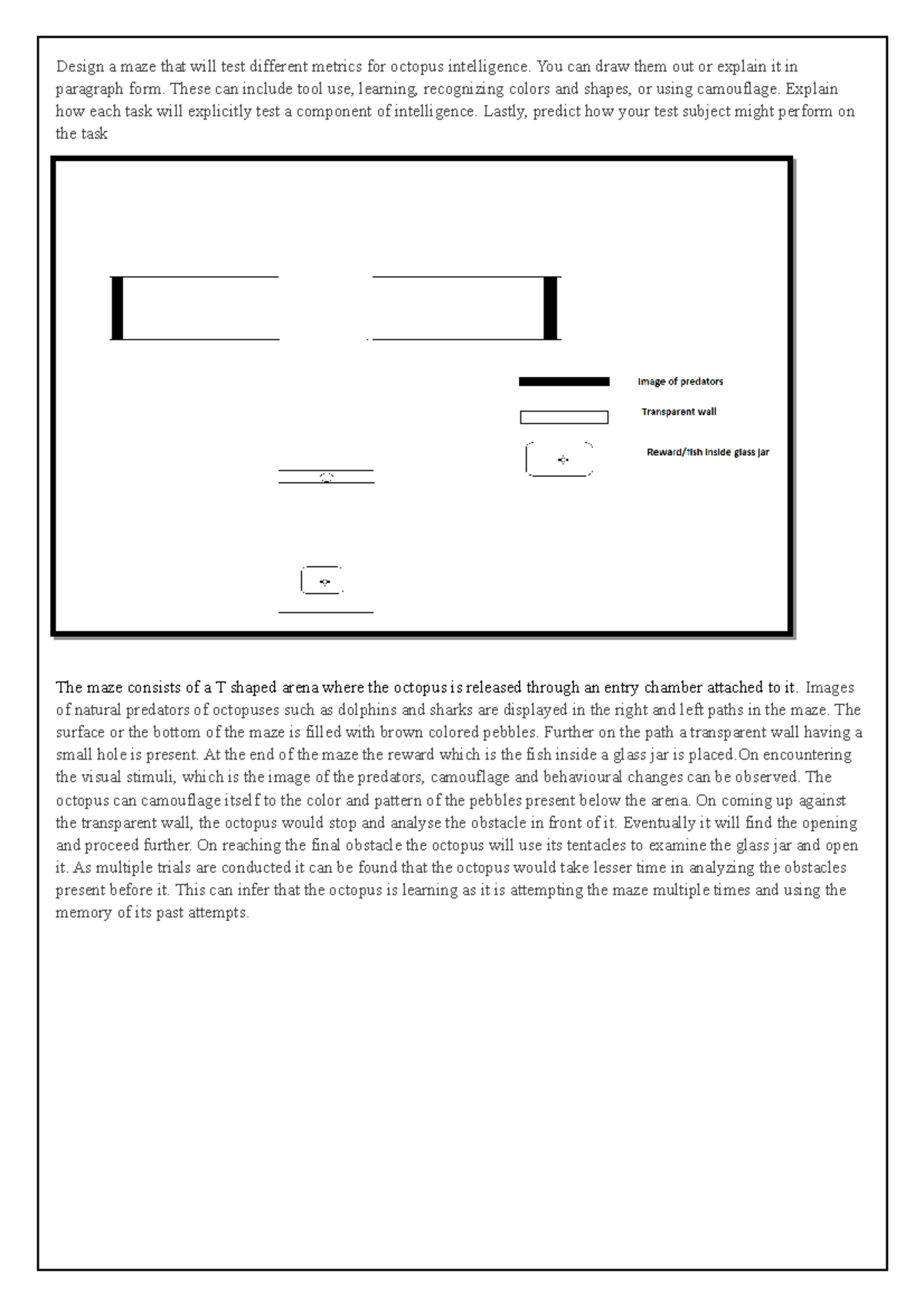 Design a maze that will test different metrics for octopus intelligence ...