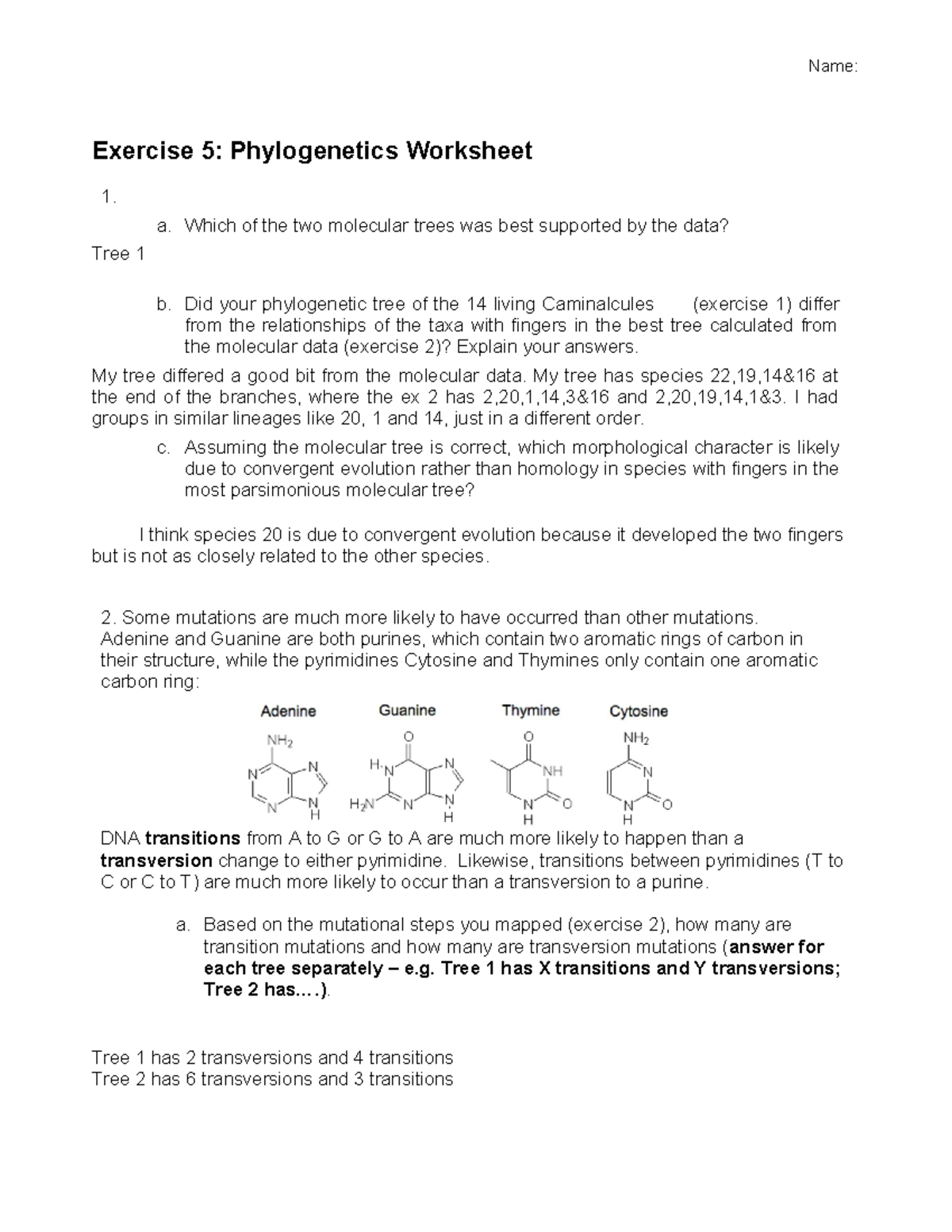 F22 1108L-Phylogenetics Worksheet 1 - Exercise 5: Phylogenetics ...