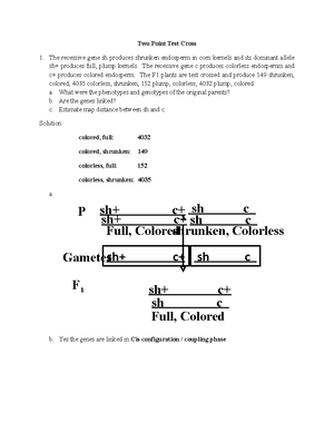 Molecular Biology - MOLECULAR BASIS OF INHERITANCE 06 By: Dr. Anand ...