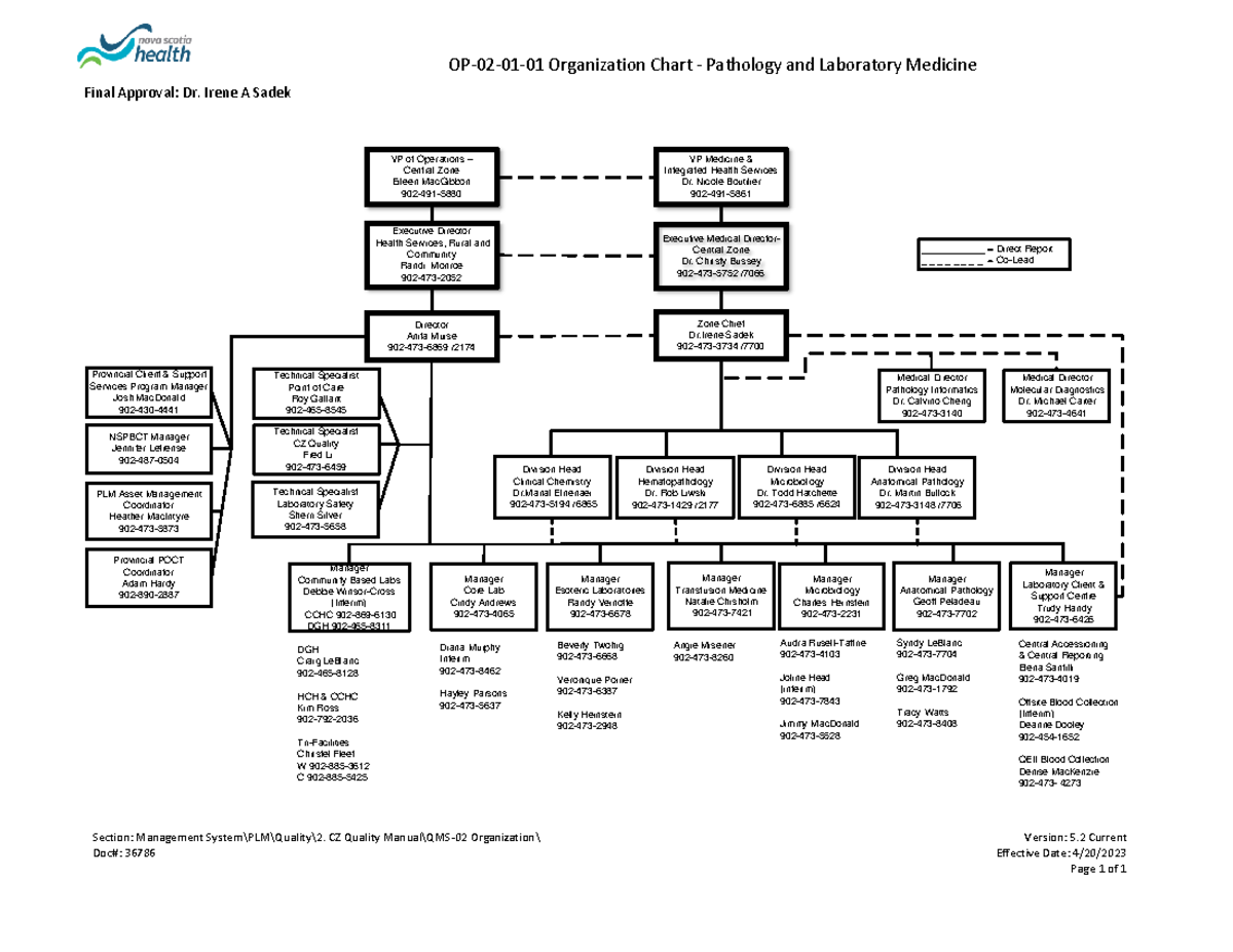 Organizational chart aug 2016 pathology laboratory medicine - OP-02-01 ...