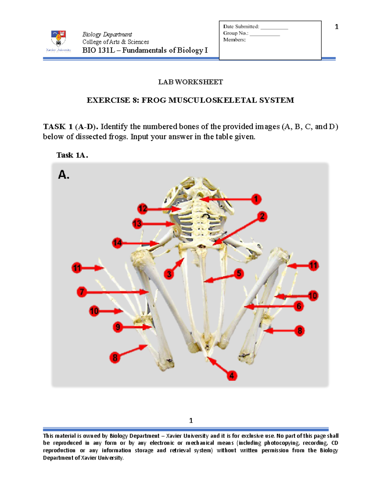 Bio 131L Ex8 - Biology worksheet - ####### Biology Department ...