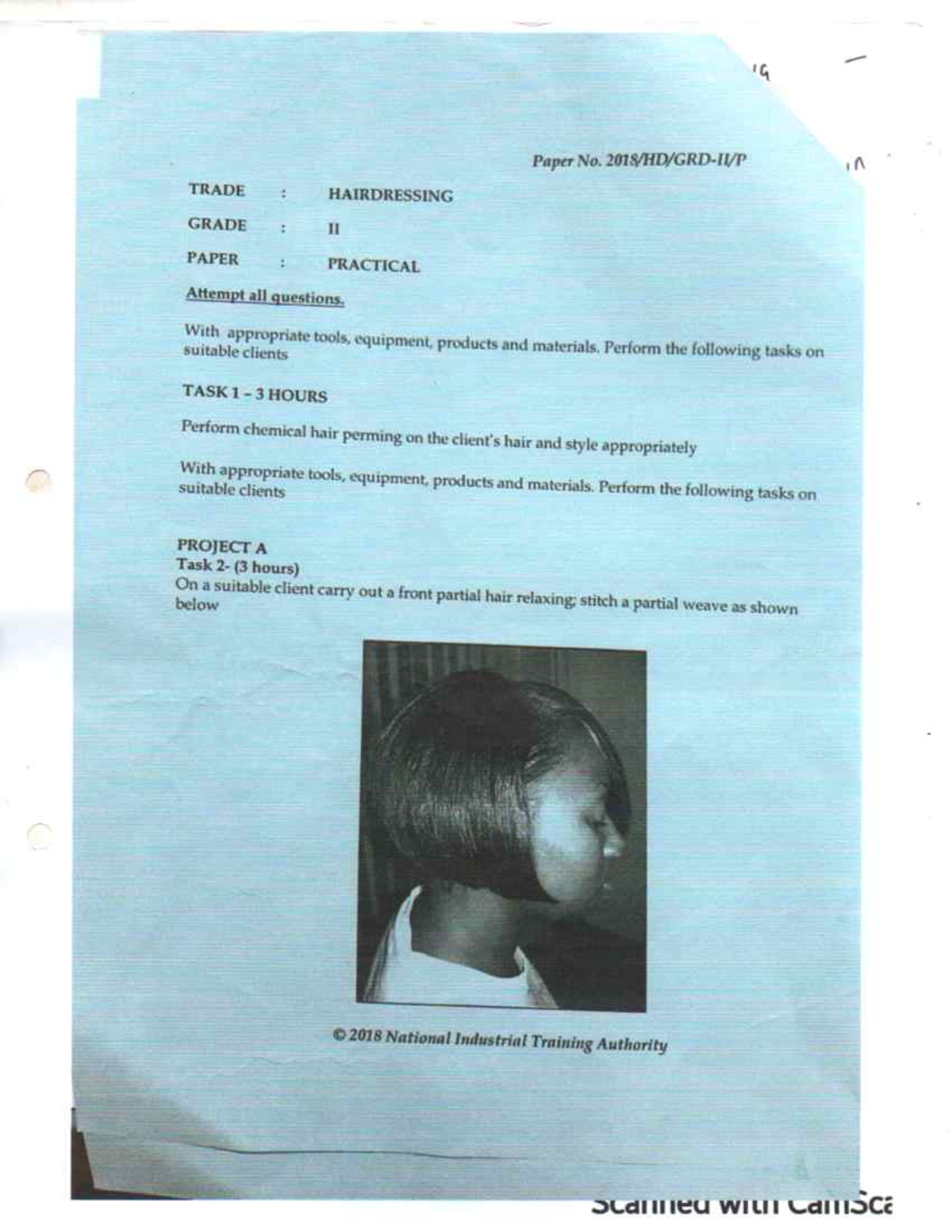 Grade II Hairdressing 2018 - Paper No. TRADE : HAIRDRESSING GRADE : II ...