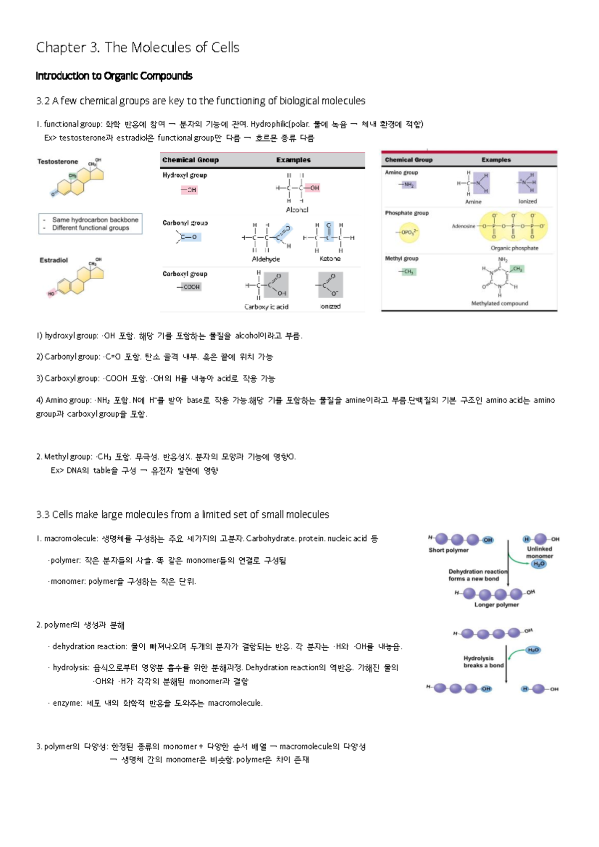 Chapter 3 - Summary Campbell Biology - Chapter 3. The Molecules of ...