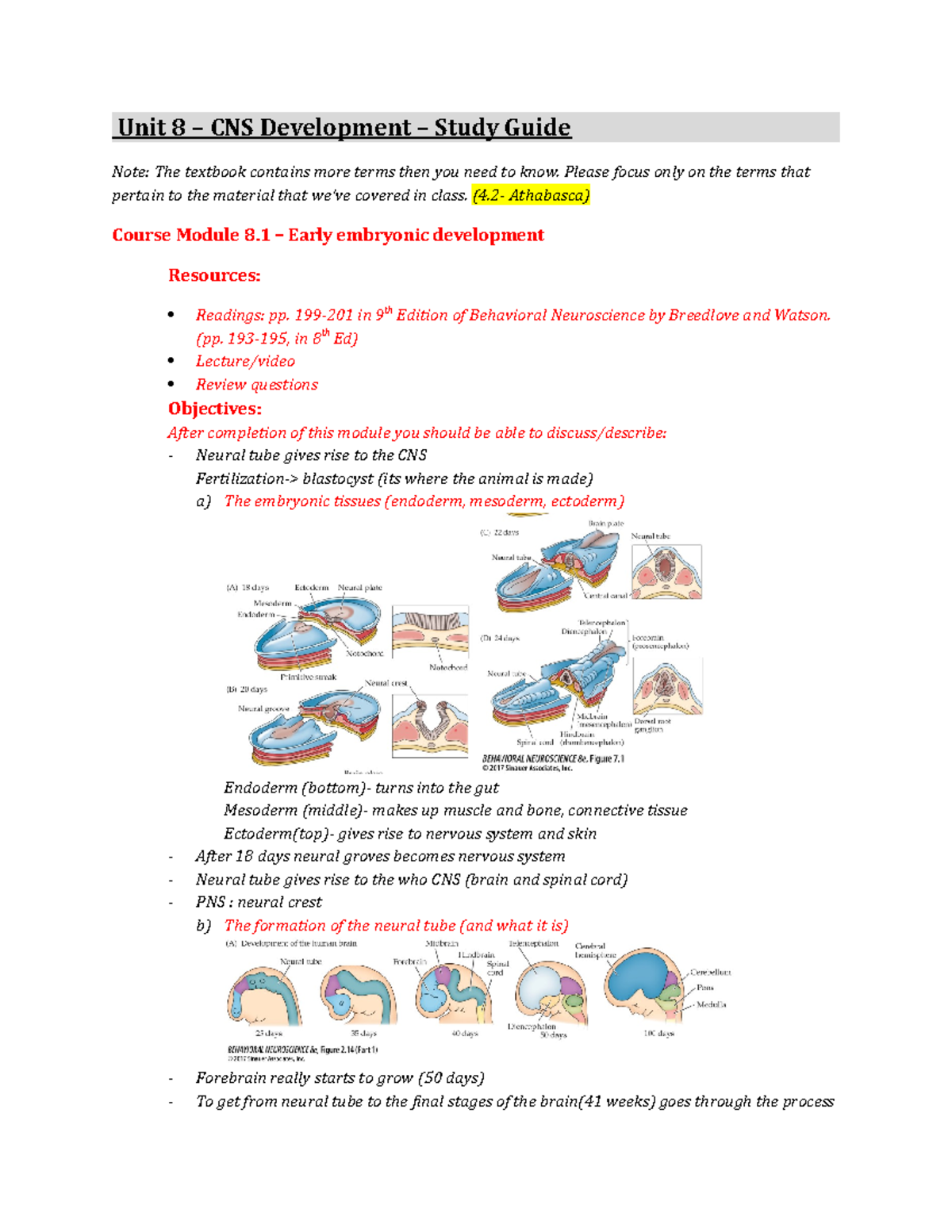 Unit 8 - CNS development - study guide - Unit 8 – CNS Development ...