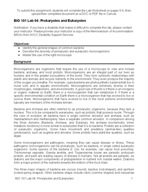 BIO 101 Lab 07, Cellular Respiration and Fermentation, updated - upload ...
