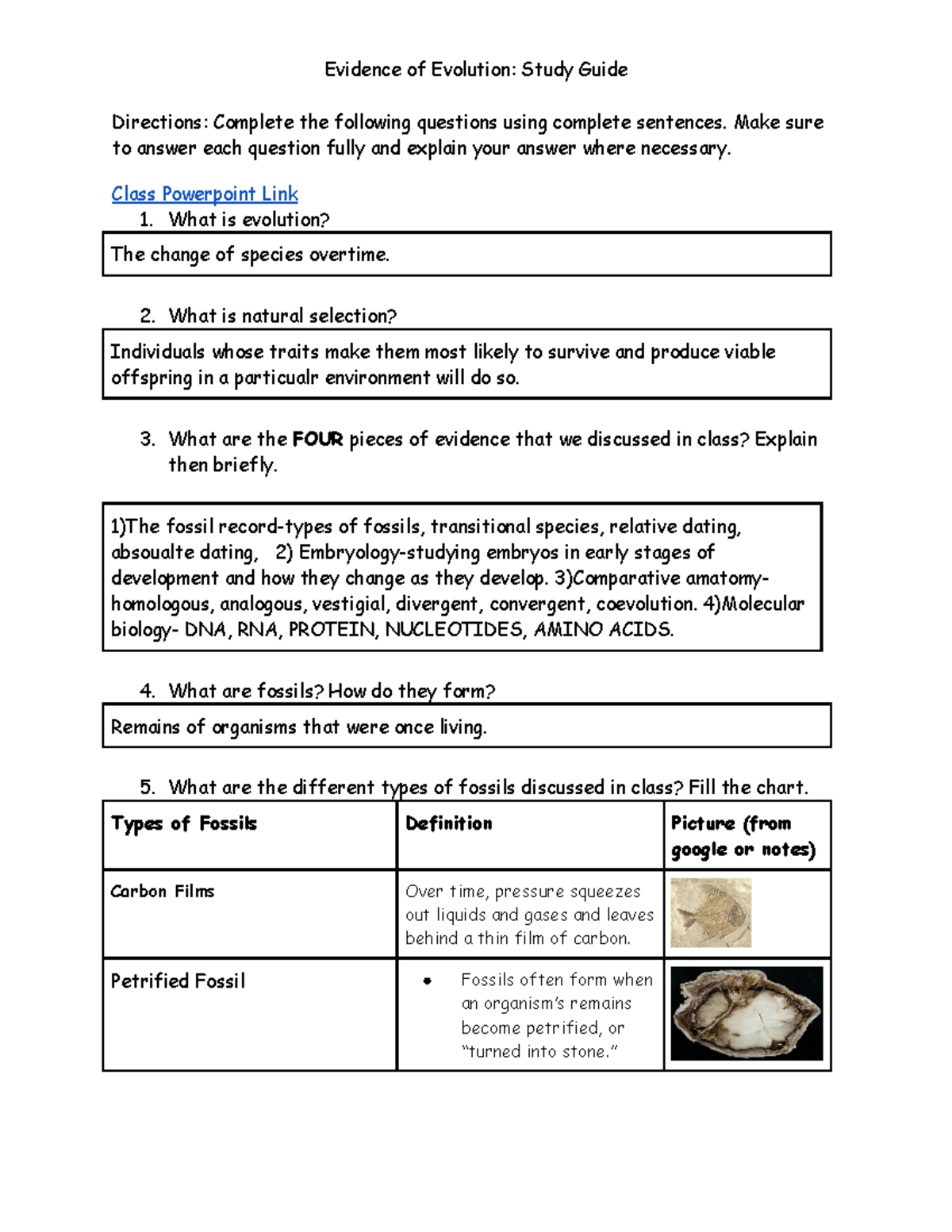 Owusua Hull - Evolution Study Guide - 10224884 - Evidence of Evolution ...