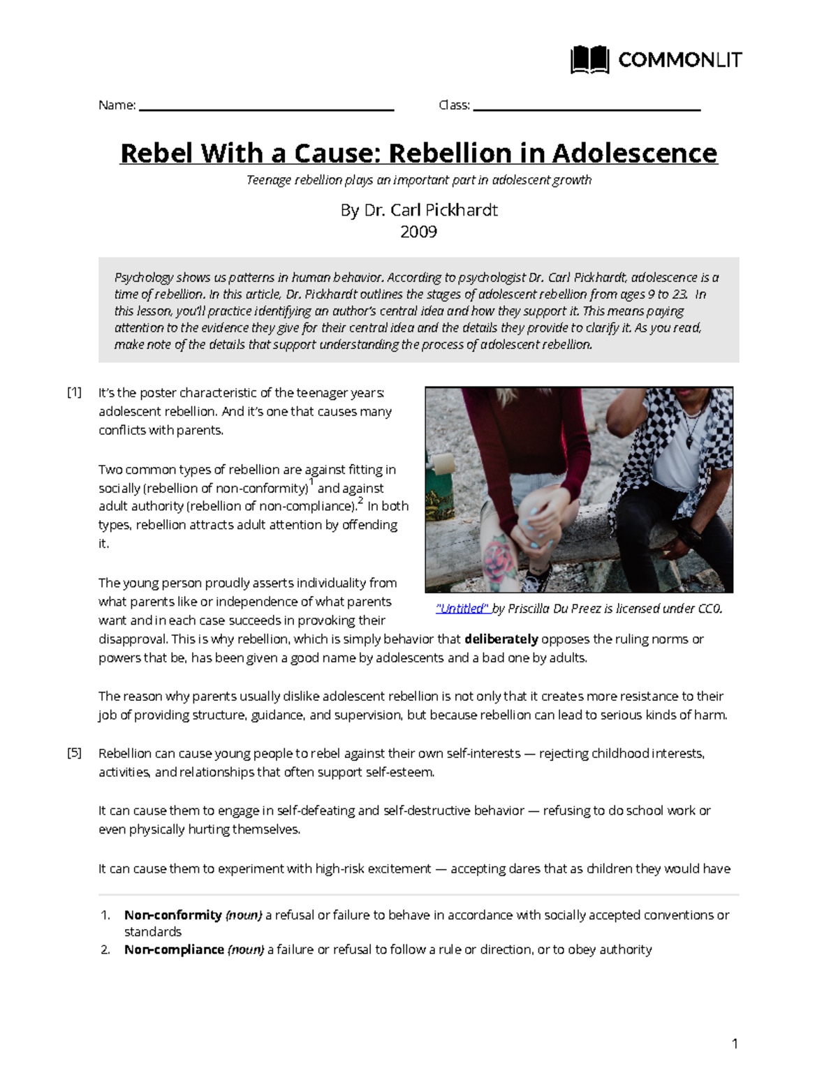 Rebel With a Cause Rebellion in Adolescence+Poet+X - Name: Class ...
