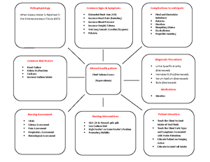 ATI Concept Analysis Psychosocial Integrity - ACTIVE LEARNING TEMPLATES ...